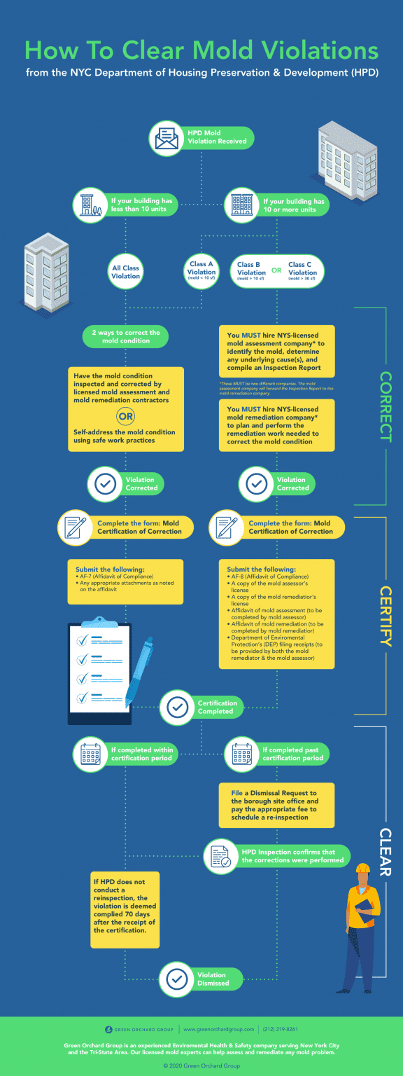 How to Clear HPD Mold Violations [2021 Infographic]