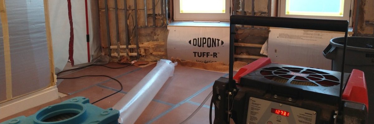 Mold Inspection, Remediation, and Removal in NYC