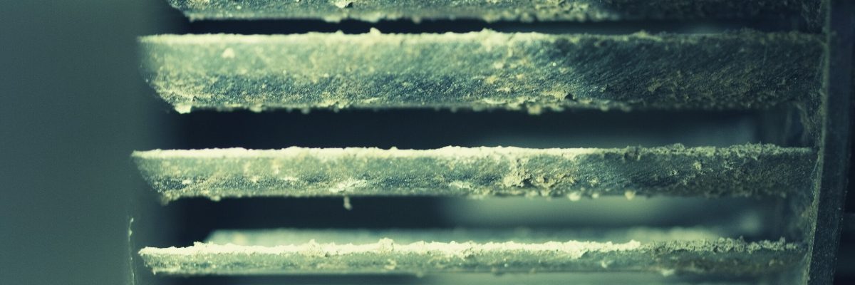 What Does Mold Smell Like & How Can You Tell?